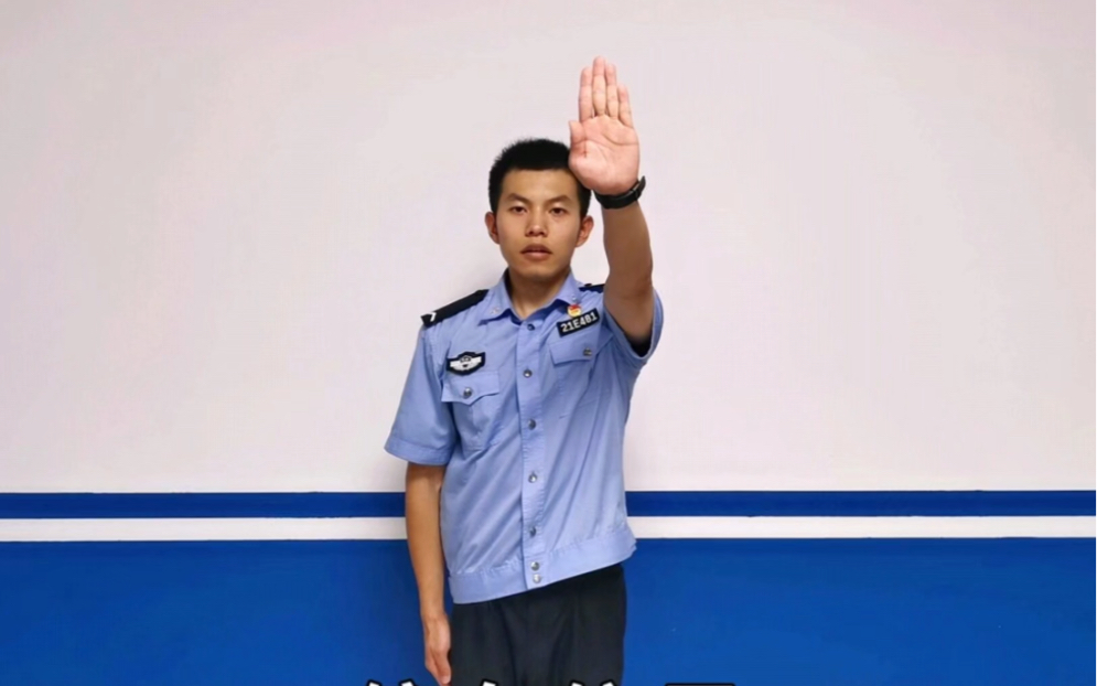 交通八大信号手势