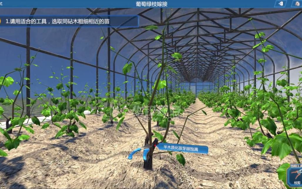 葡萄栽培VR虚拟仿真教学培训系统