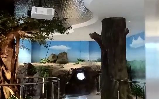 佛山vr设备厂家/佛山VR公司为珠海XR科普体验馆做VR软件亲自到广东...