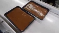 直线送料器,德国线性送料器,气动输送器,直线气动振动器