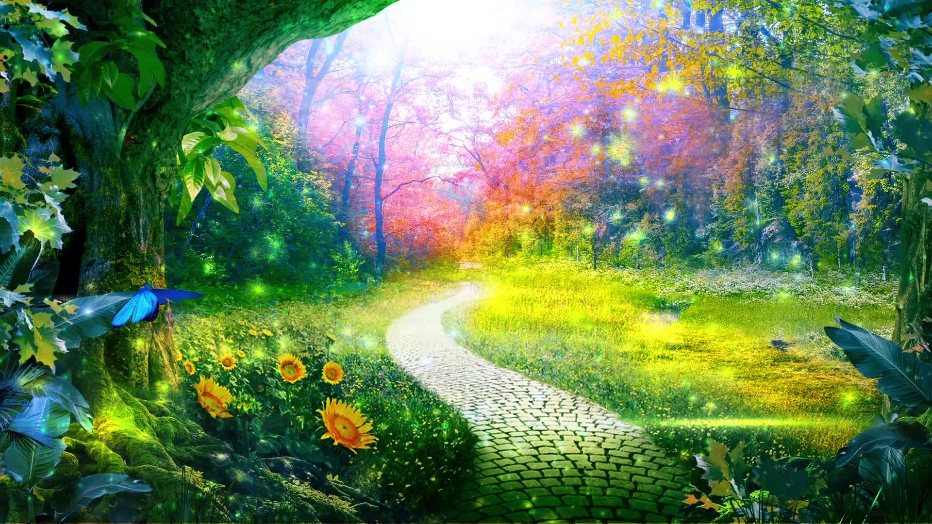 精灵森林梦幻仙境风景动画