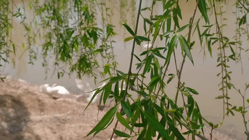 亲们能猜出这是单位吗?来这单位量窗帘,咋觉得和到了家里一样呢