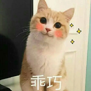 乡下来的蠢喵 