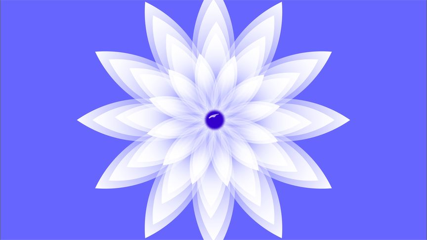 CorelDRAW教程快速制作梦幻花朵