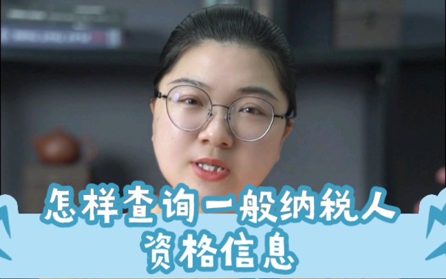 怎样查询一般纳税人资格信息