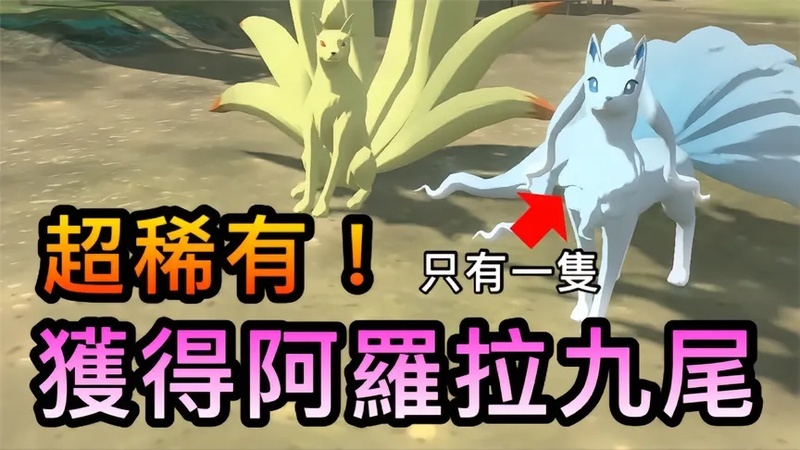宝可梦传说 阿尔宙斯 超稀有!获得阿罗拉形态九尾的方法!