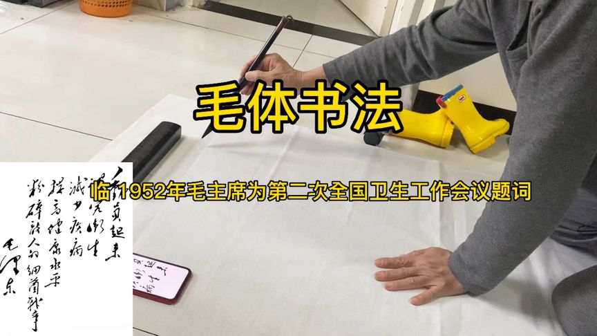 毛体书法,临 1952年毛主席为第二次全国卫生工作会议题词