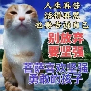 藤木解清秋 