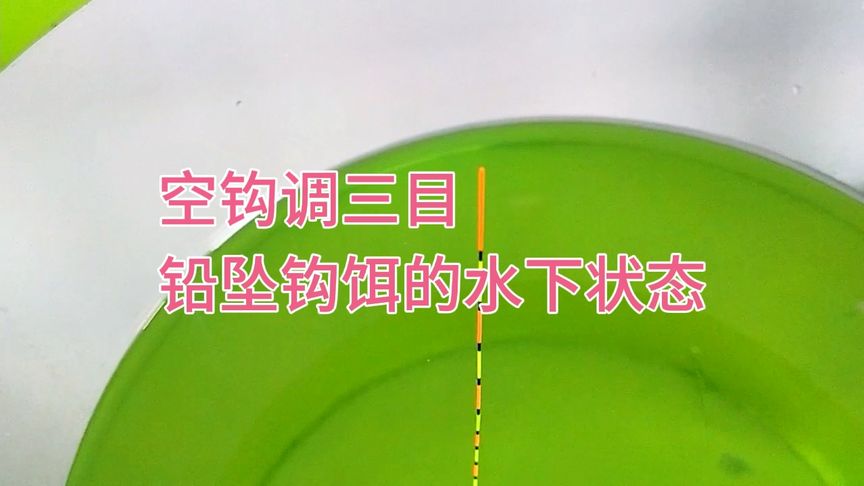 空钩调三目,不同钓目时铅坠钩饵的水下状态@DOU+小助手