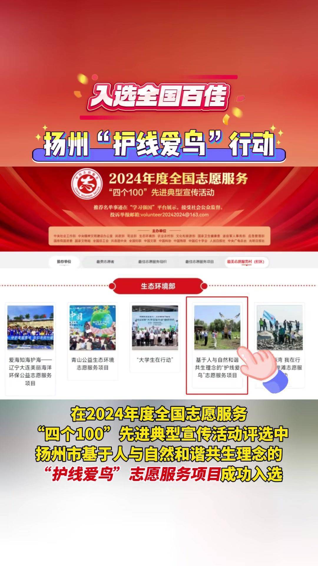 扬州“护线爱鸟”行动入选全国百佳志愿服务项目