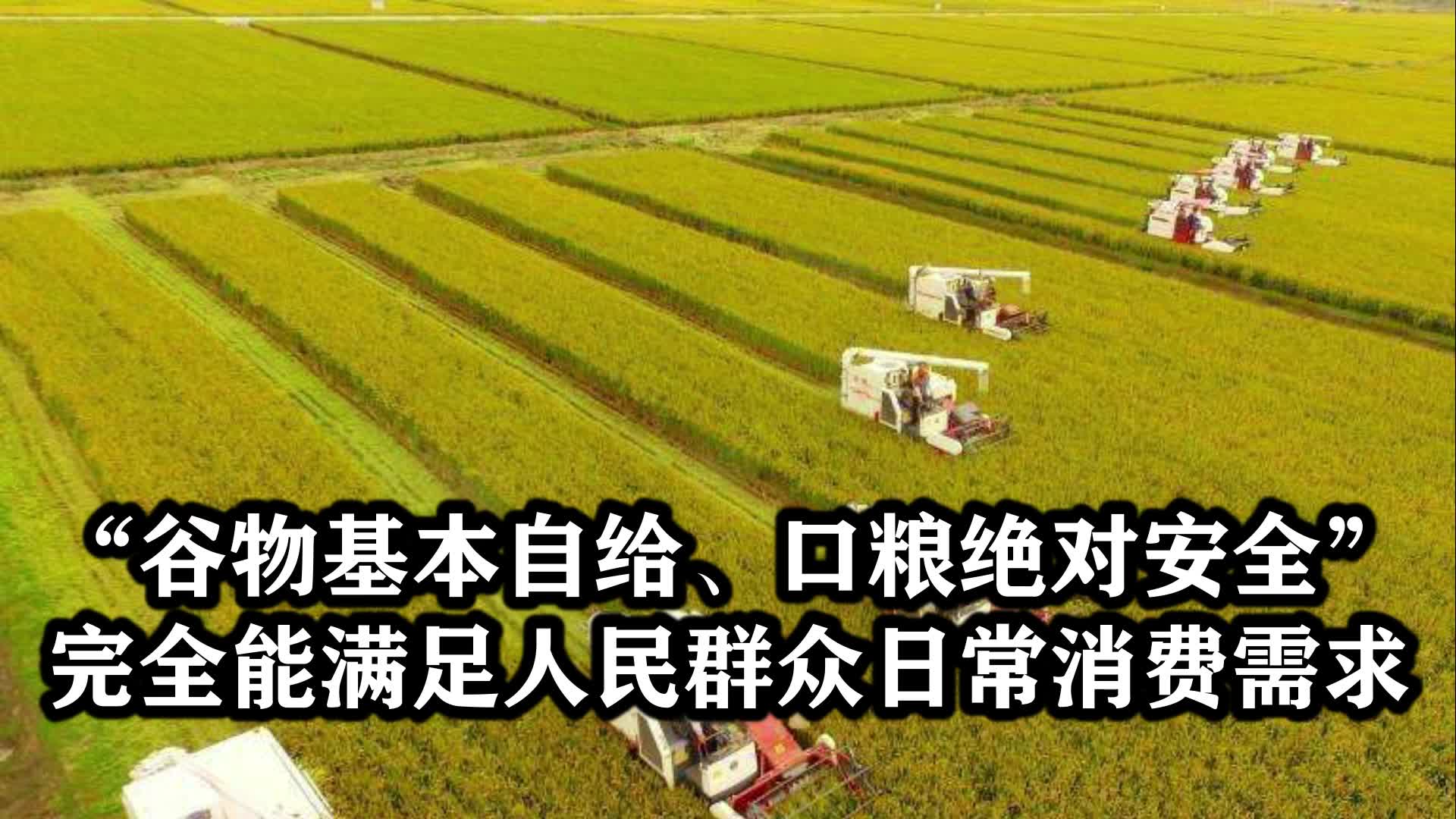 “谷物基本自给、口粮绝对安全”完全能满足人民群众日常消费需求