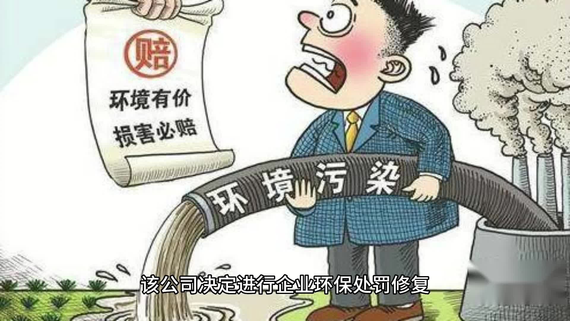 企业环保处罚记录修复案例