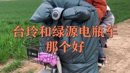 台玲VS绿源电动车终极对决:谁才是性价比之王?