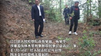 被告人滥伐林木后,以为只用补种树苗就可以了吗?