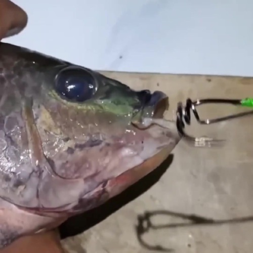 钓鱼取钩器使用方法视频分享