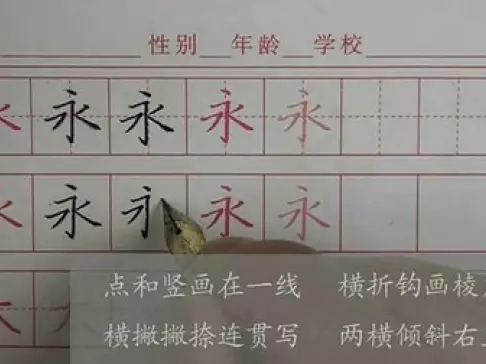 钢笔字硬笔书法教学讲座视频学生成人楷书基础笔画练字方法技巧