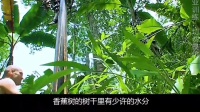荒野求生德爷系列