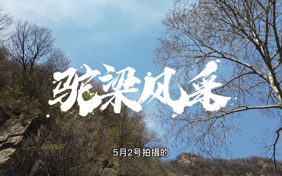 位于冀晋交界处的平山驼梁,与五台山相望,山顶有原始森林和草原