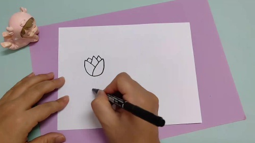 适合三年级下册的植物记录卡怎么做?