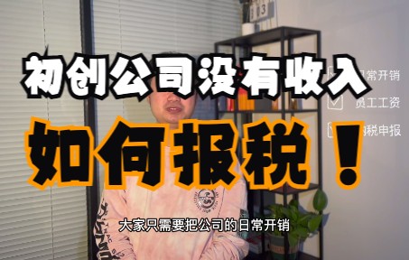 初创公司没有收入怎么报税