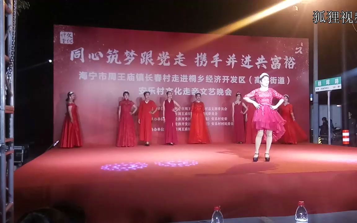 礼服模特演出视频