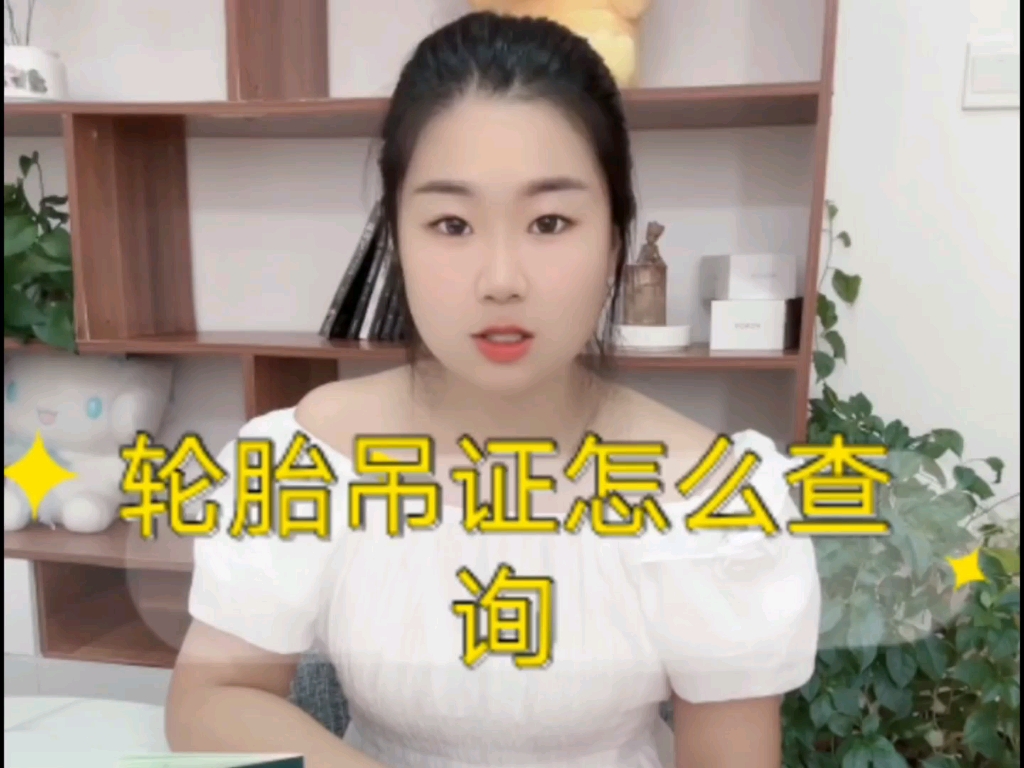 轮胎吊证怎么查询?#特种设备操作证 #起重机操作证复审 #轮胎吊证