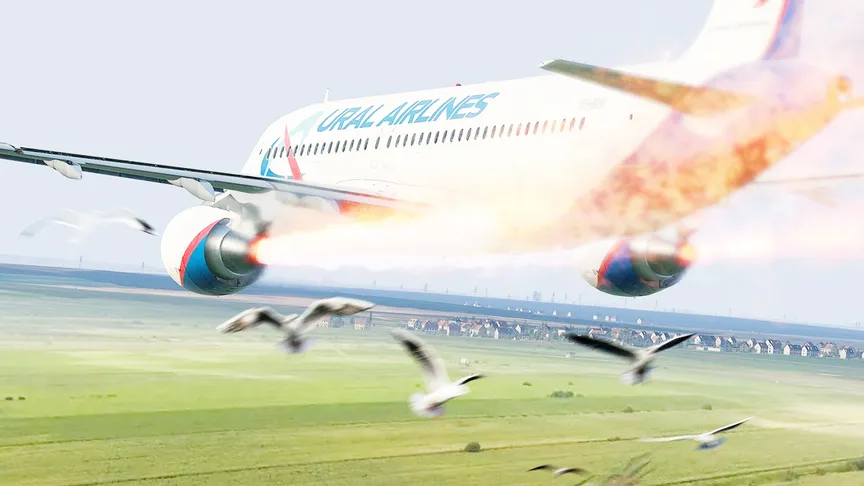 模拟飞行 Xplane 11 俄罗斯空客A321客机起飞撞鸟 紧急迫降玉米地