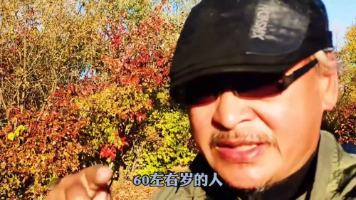 60岁了,没有退休金。为了生活,到深山老林干活,为了挣点养老钱