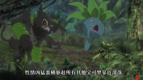 小婴儿从小和宝可梦一起长大,可以和宠物精灵讲话,动画片