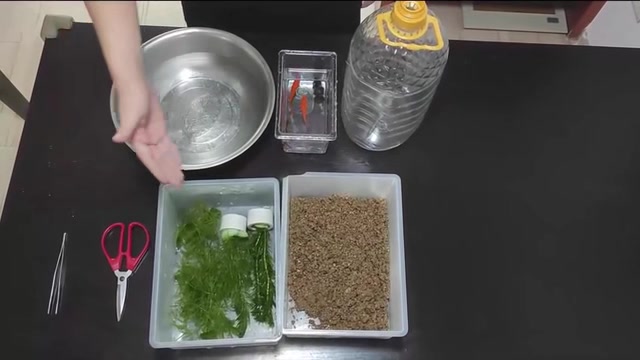 07_1_7_设计和制作生态瓶
