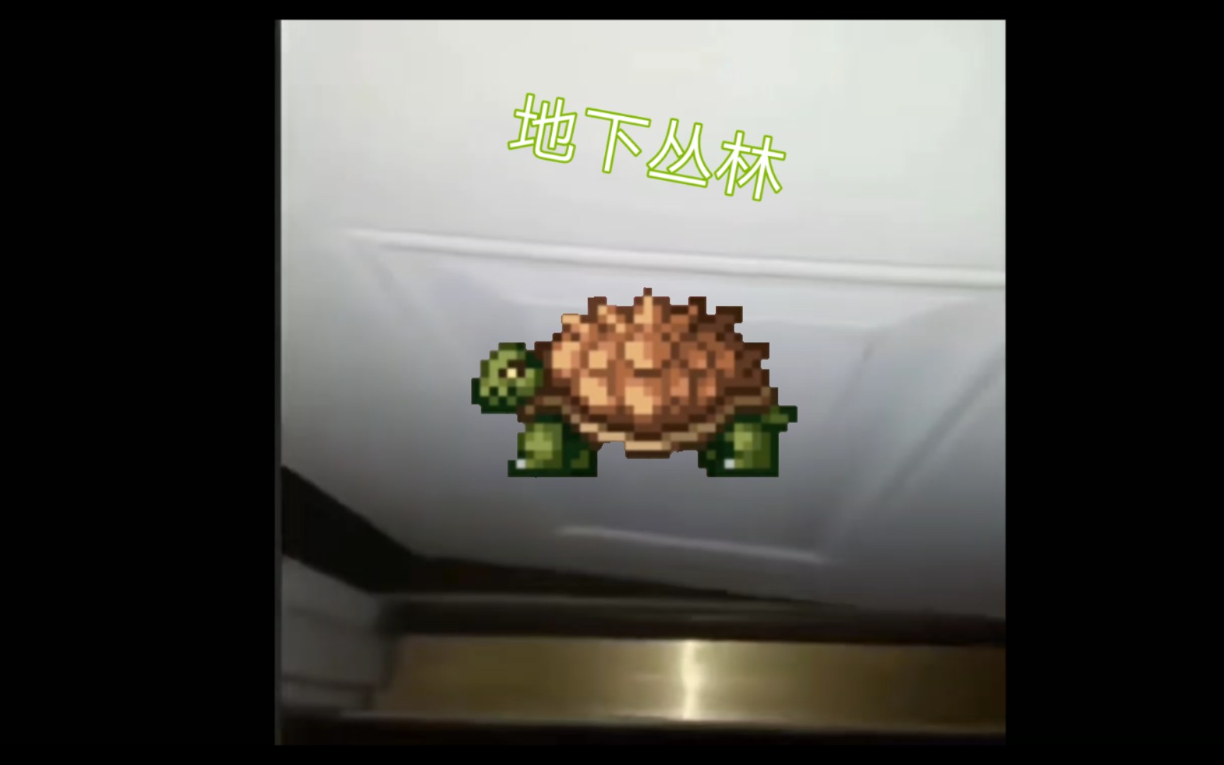 [泰拉瑞亚]当新手来到地下丛林