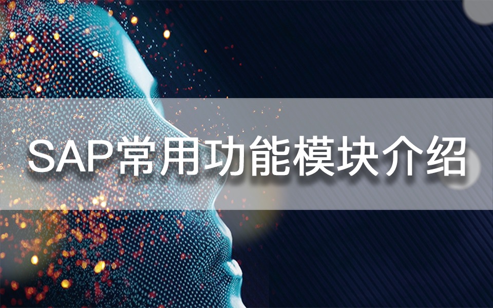SAP常用功能模块介绍