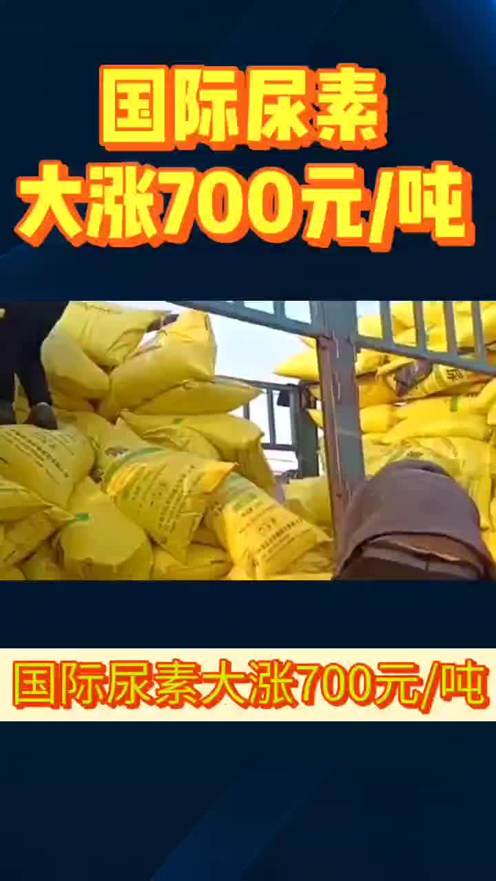 #印度再次发起100万吨进口招标#国际尿素价格大涨700元吨