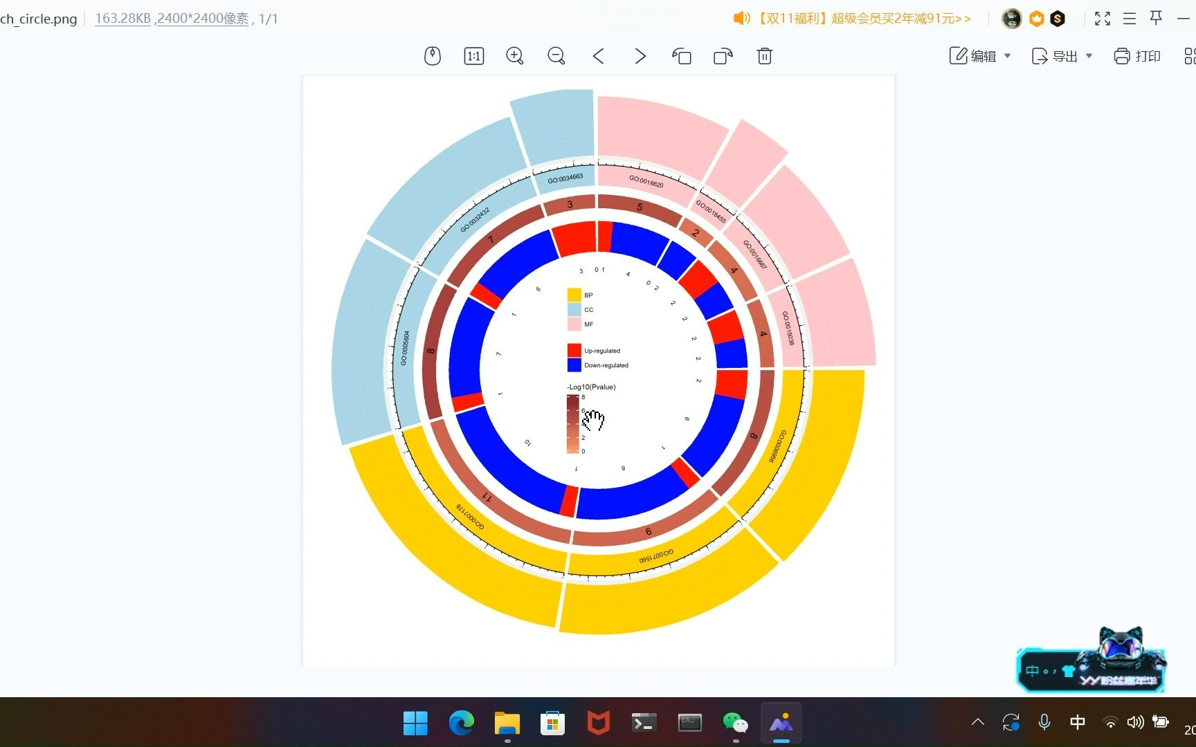 一分钟画出GO,KEGG富集分析高级圈图