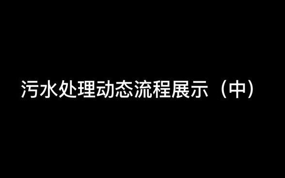精彩不停,动态演示不停!跟着达泽环保,了解更多污水处理知识!