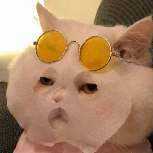 晴儿打怪biu 