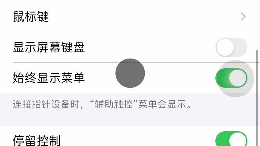 更新后ios13.4,屏幕中间出现小黑点,解决办法
