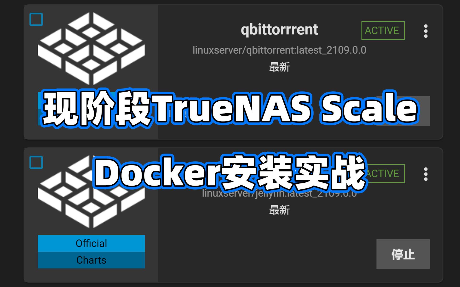 【司波图】Truenas Scale现阶段Docker安装实战(含Jellyfin,qBittorrent