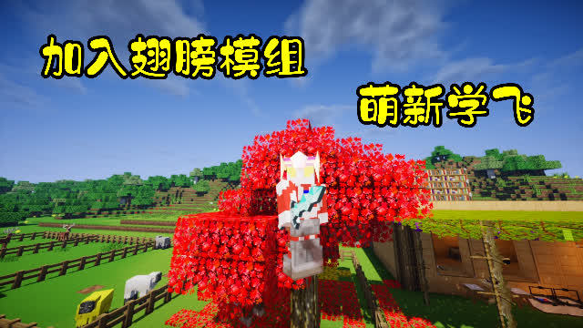 我的世界萌新生存:加入飞行模组,多米得到一双小翅膀