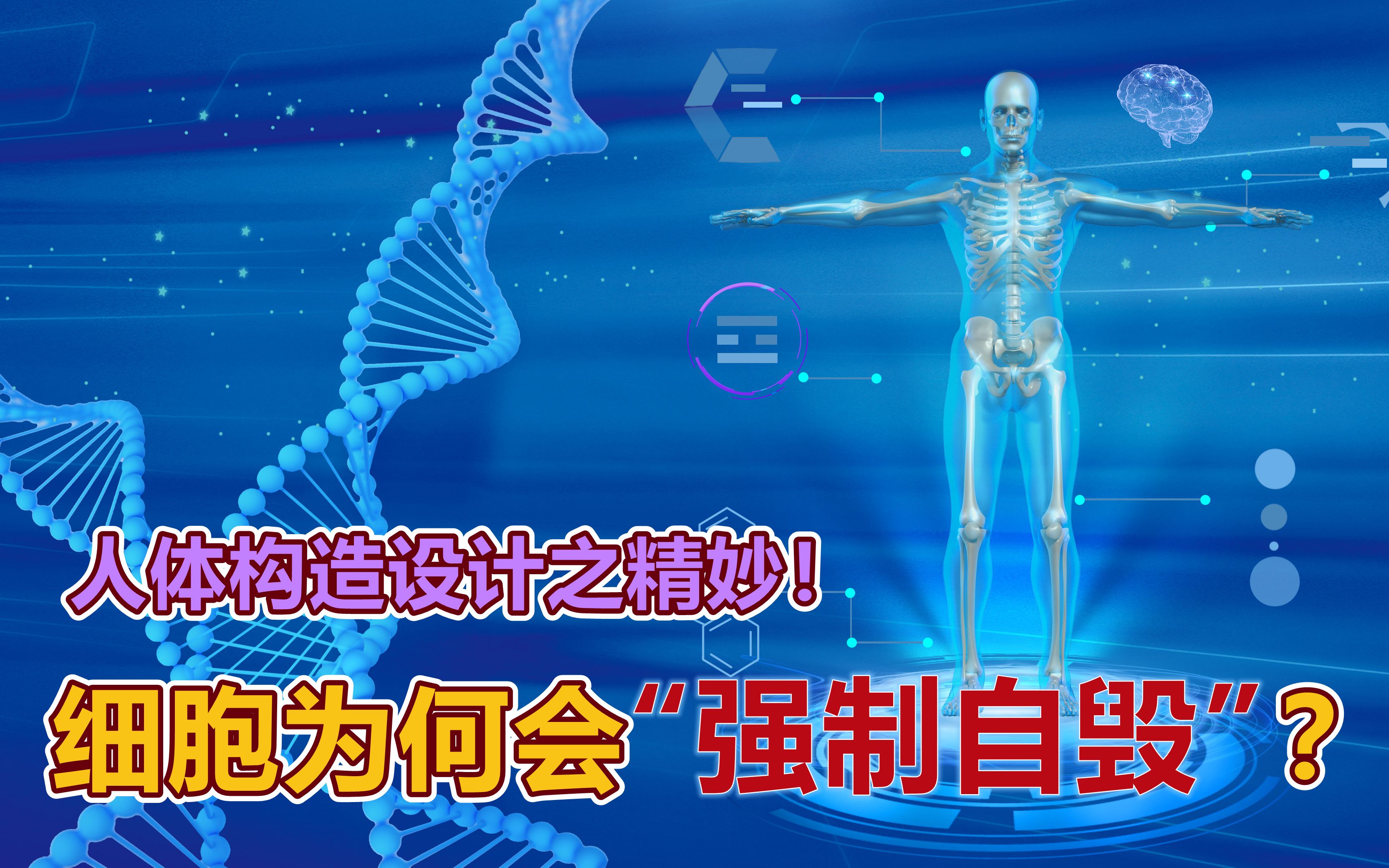 一次性讲透癌症的发病原理、癌细胞居然藏着“永生”的秘密!