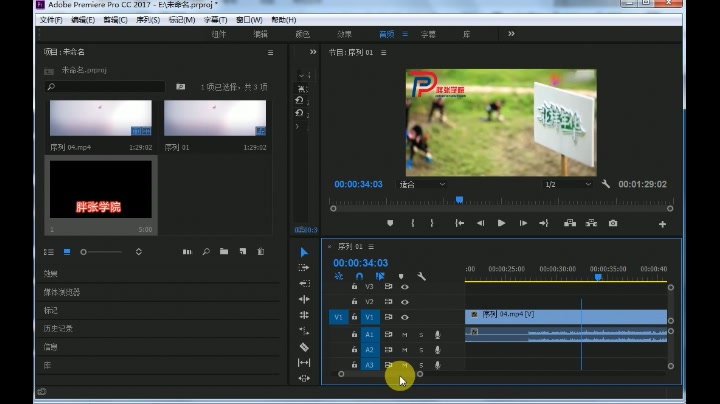 胖张学院:视频如何添加字幕