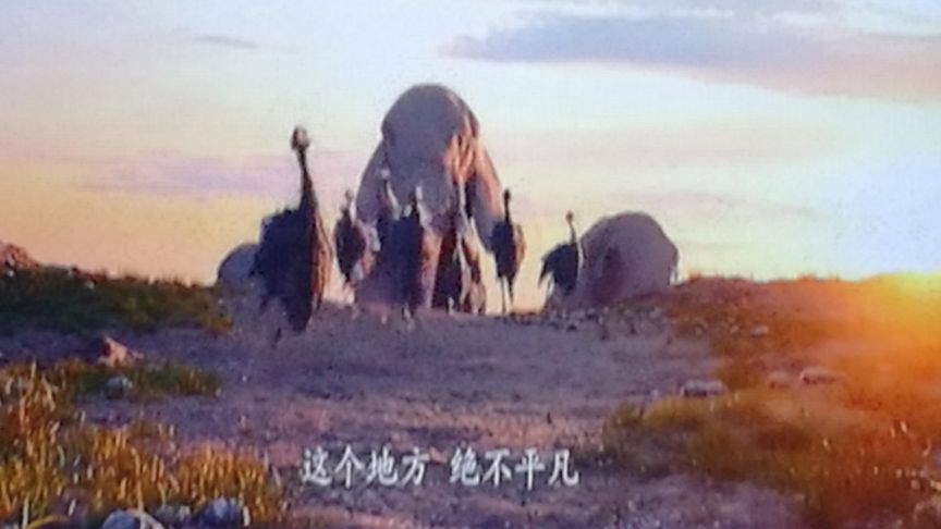 1.3二次根式的运算(二)第8题计算: