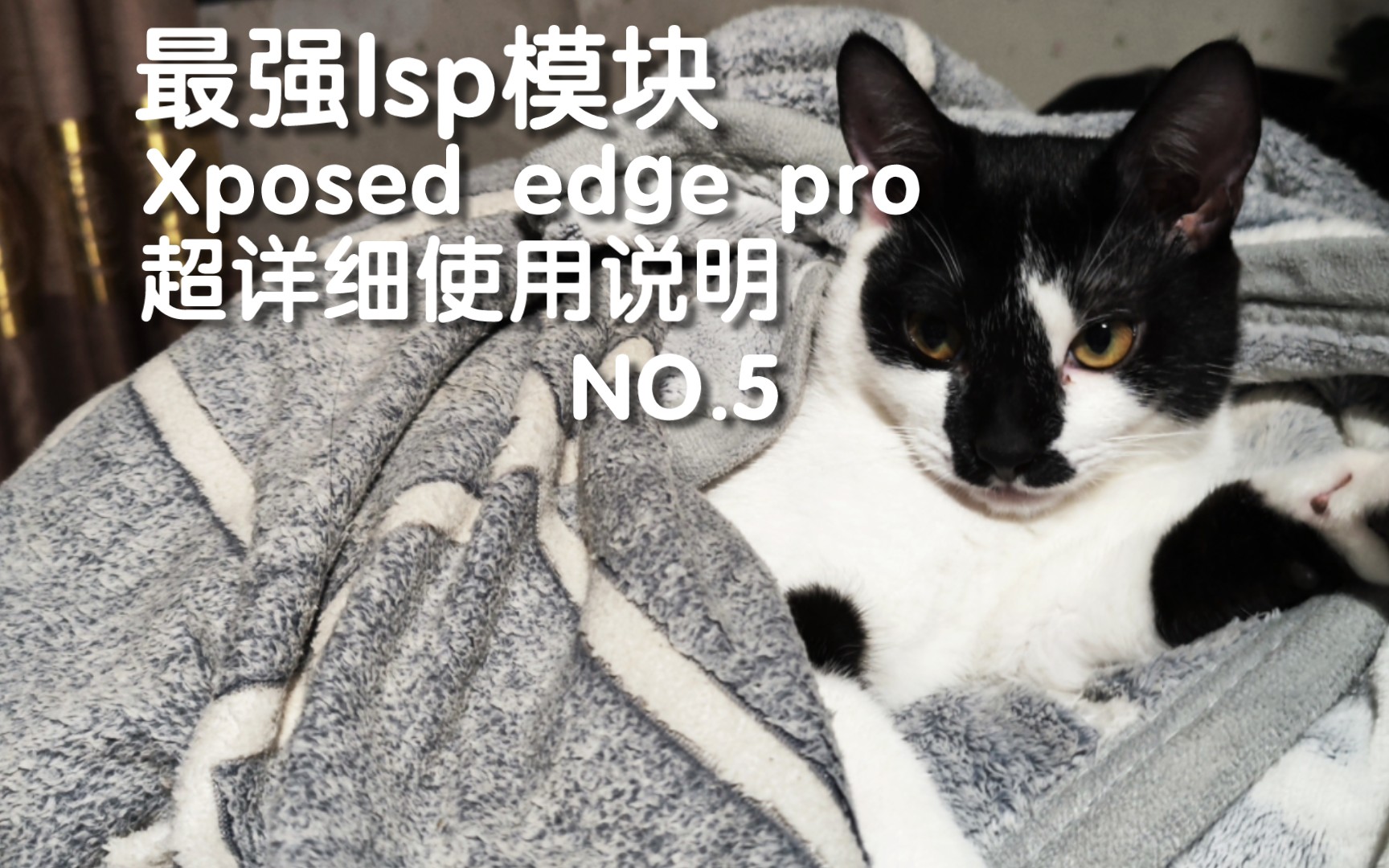 首先祝大家新年快乐!注定没人看系列:玩机小白必看!最强Lsposed模块...