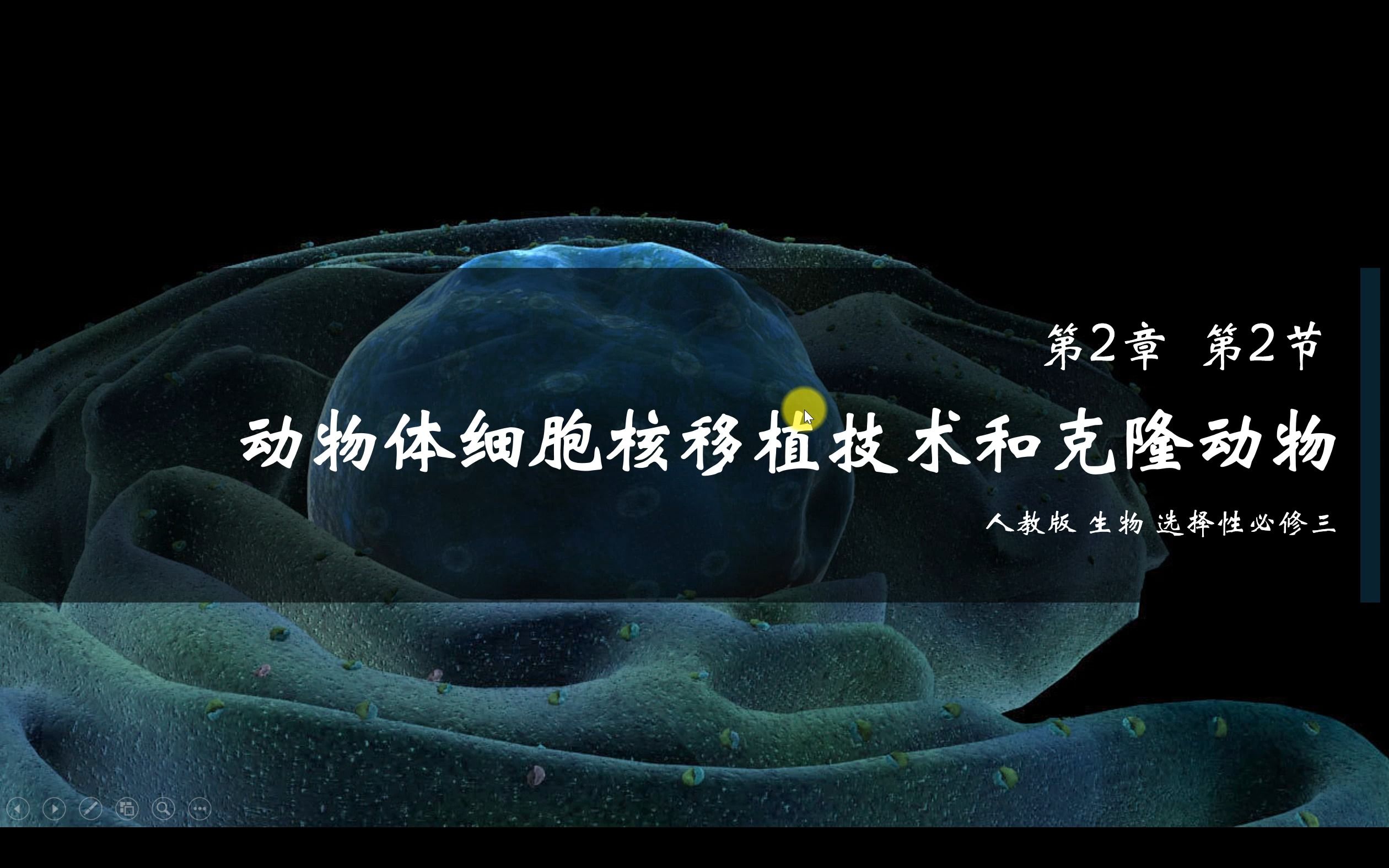 2.2.3 动物体细胞核移植技术和克隆动物