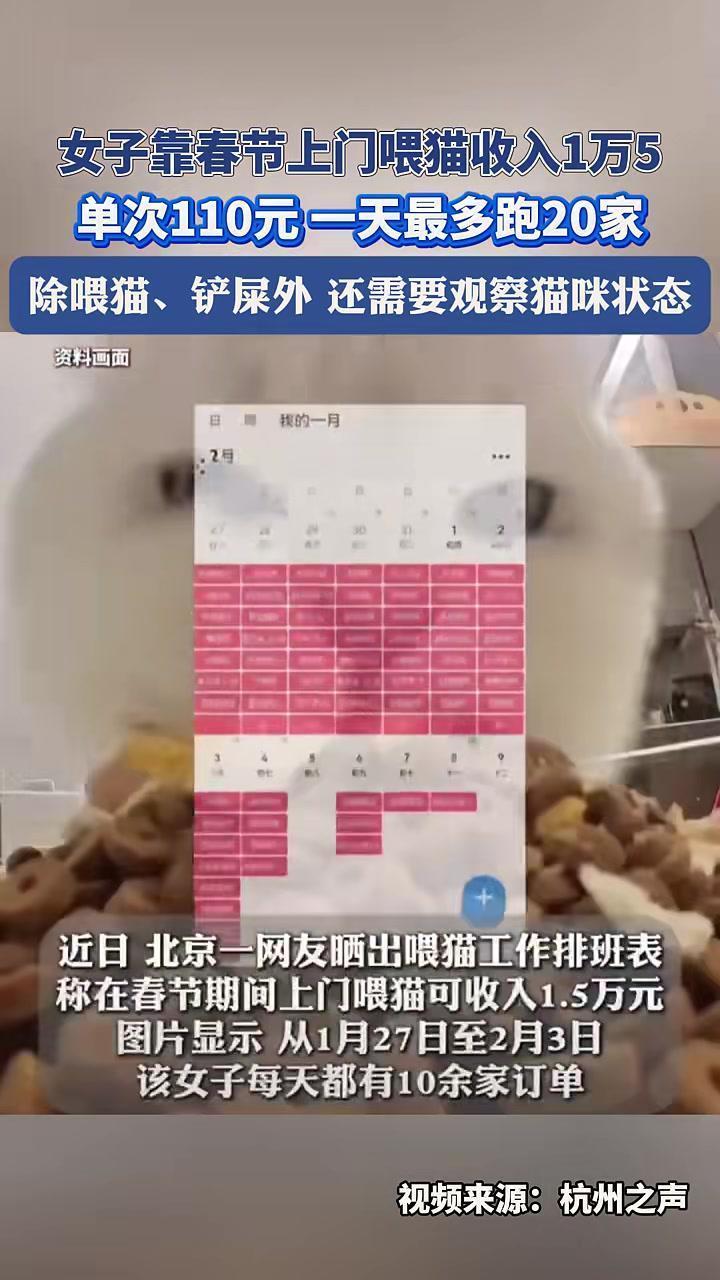 女子靠春节上门喂猫收入一万五,单次110元,一天最多跑20家