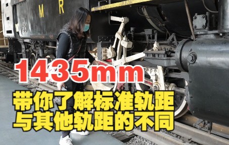 大脸宝游铁道博物馆14-宽轨窄轨普通轨,各种轨距的火车直观感受