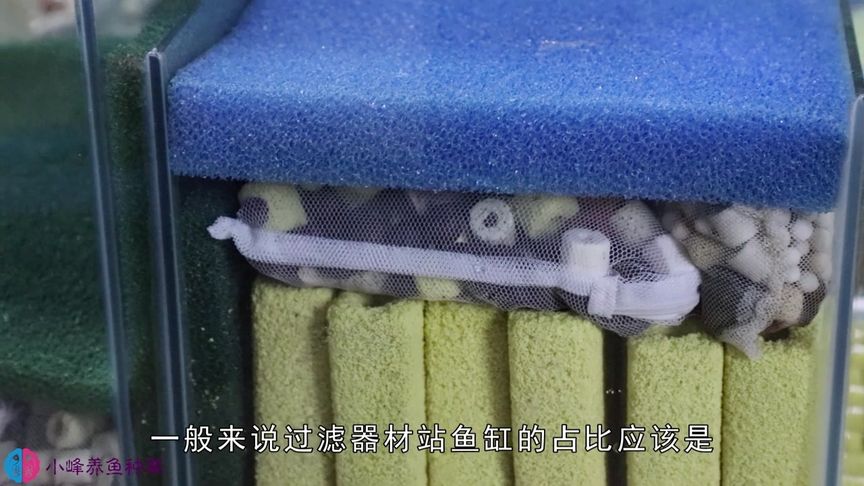 底滤过滤鱼缸的大体结构,多种过滤组合,过滤更完善