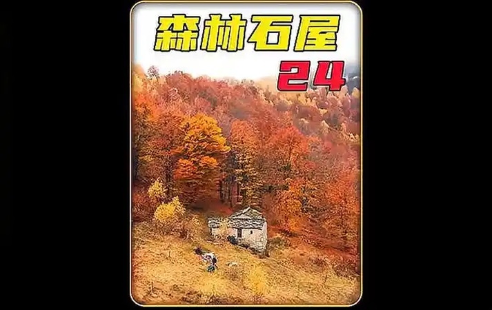 马丁巧手翻新厨房,一楼地板铺装启程!