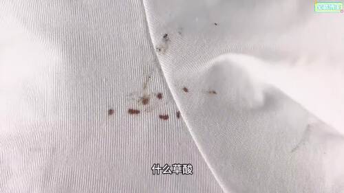 衣服血渍咋清洗?傻瓜式妙招,清洁没烦恼!