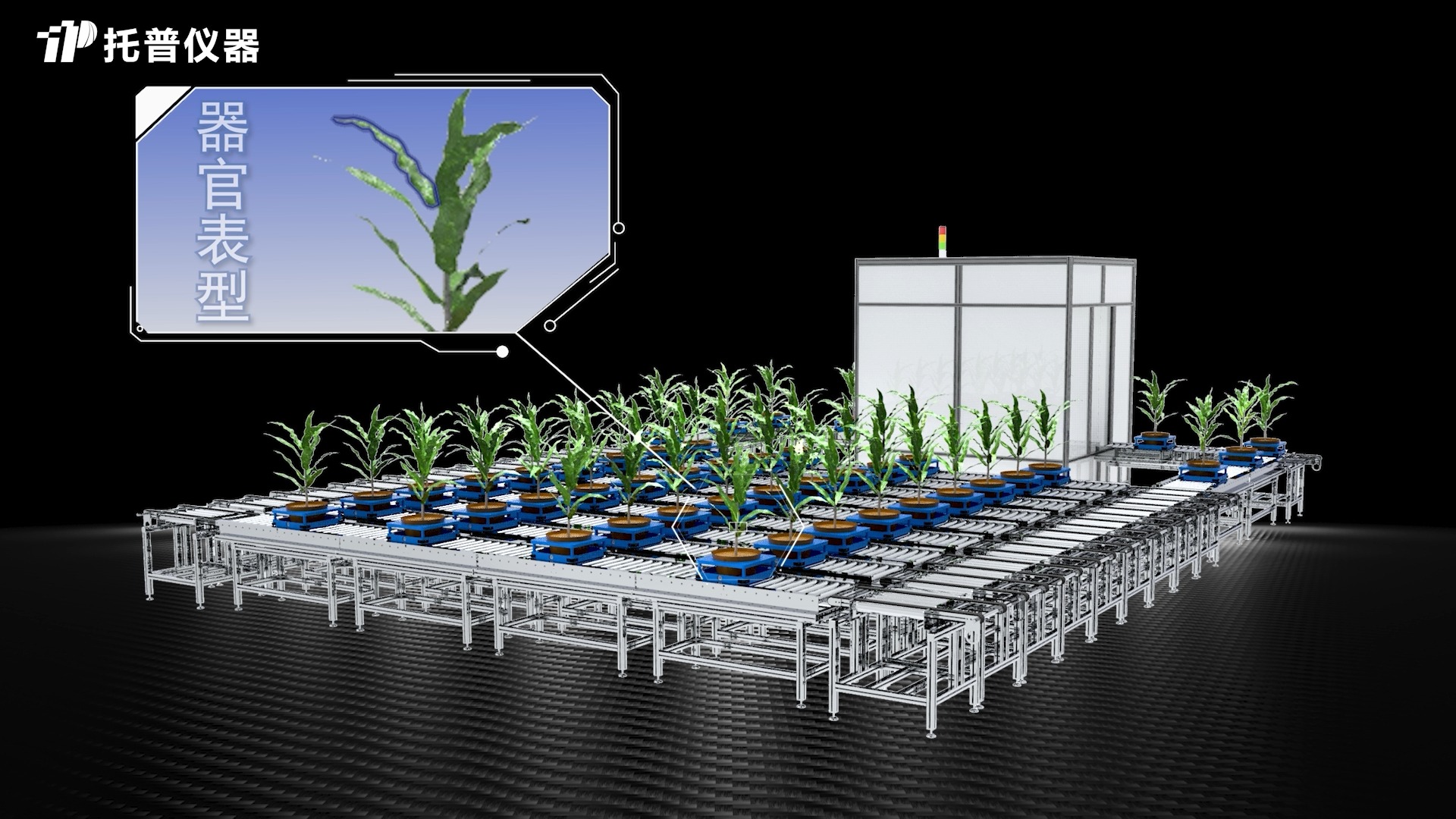 高通量植物表型采集分析平台——支持单株到群体的全面分析